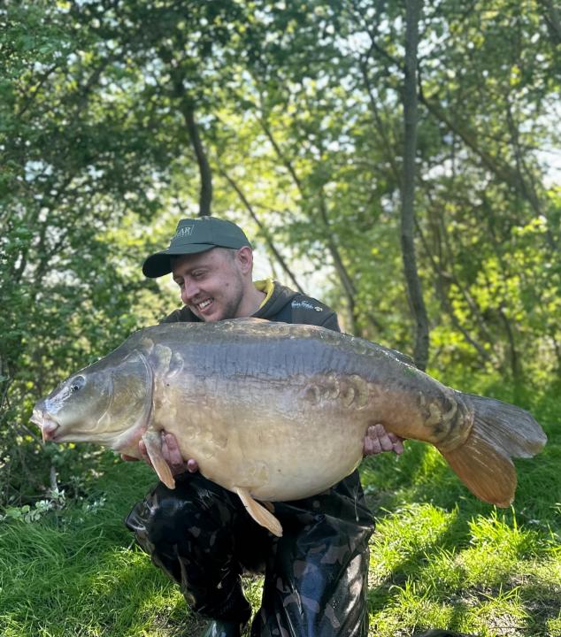 3 scale | Total Carp